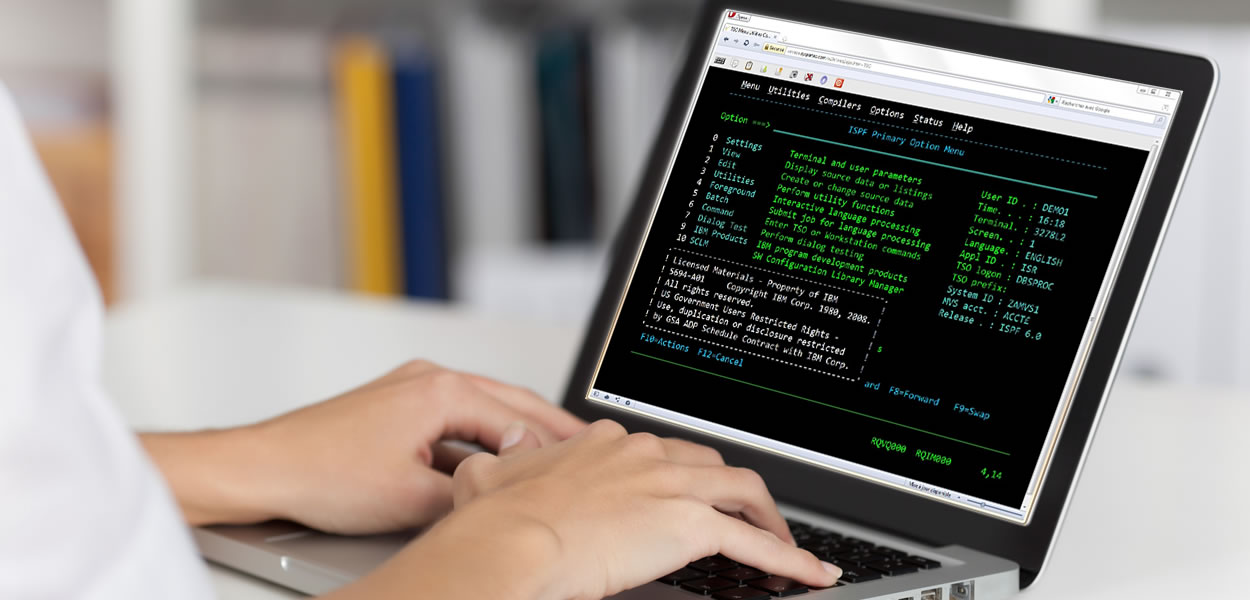 Mainframe Web Access, 3270 Terminal Emulator, Modernization and ...